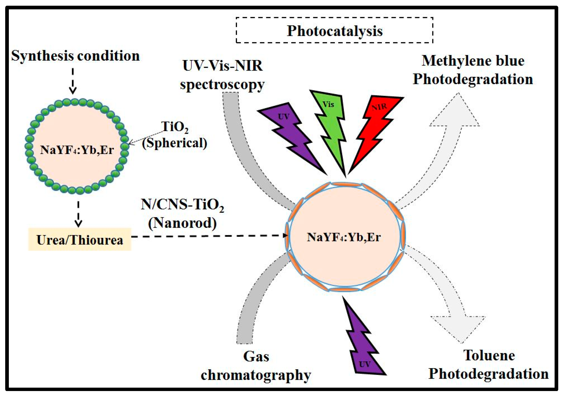 Catalysts | Free Full-Text | Photocatalytic Reactivity of Carbon ...