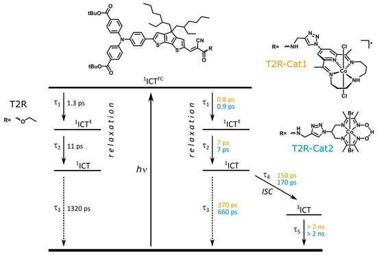 Investigating Light-Induced Processes in Covalent Dye-Catalyst ...