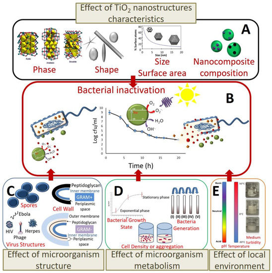 Photocatalytic TiO2-Based Nanostructured Materials for Microbial Inactivation