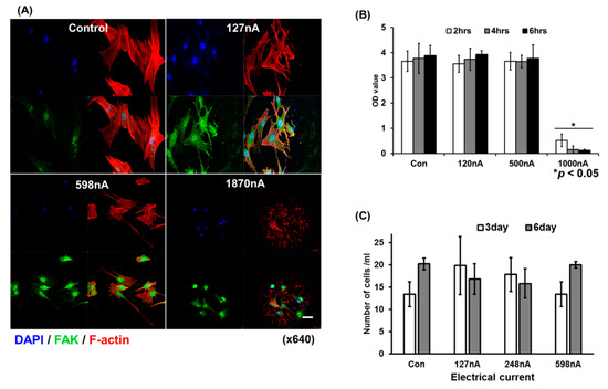 Modulation of Human Mesenchymal Stem Cells by Electrical Stimulation ...