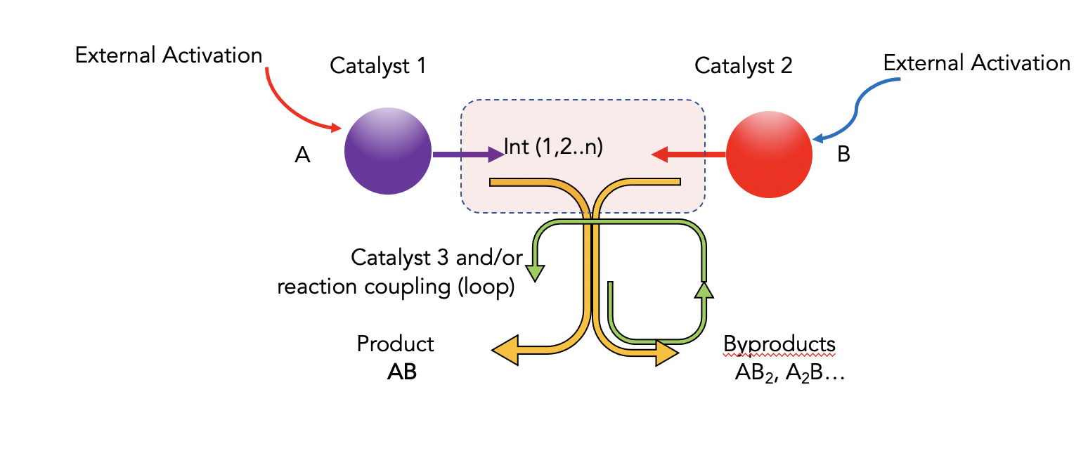 Catalysts | Free Full-Text | System Chemistry in Catalysis: Facing the ...