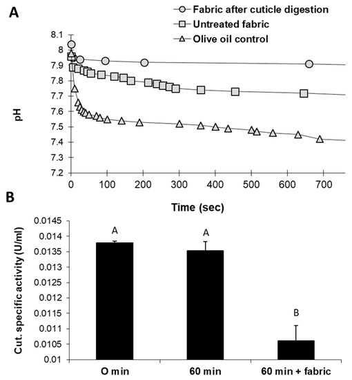 Synergism between Cutinase and Pectinase in the Hydrolysis of Cotton ...