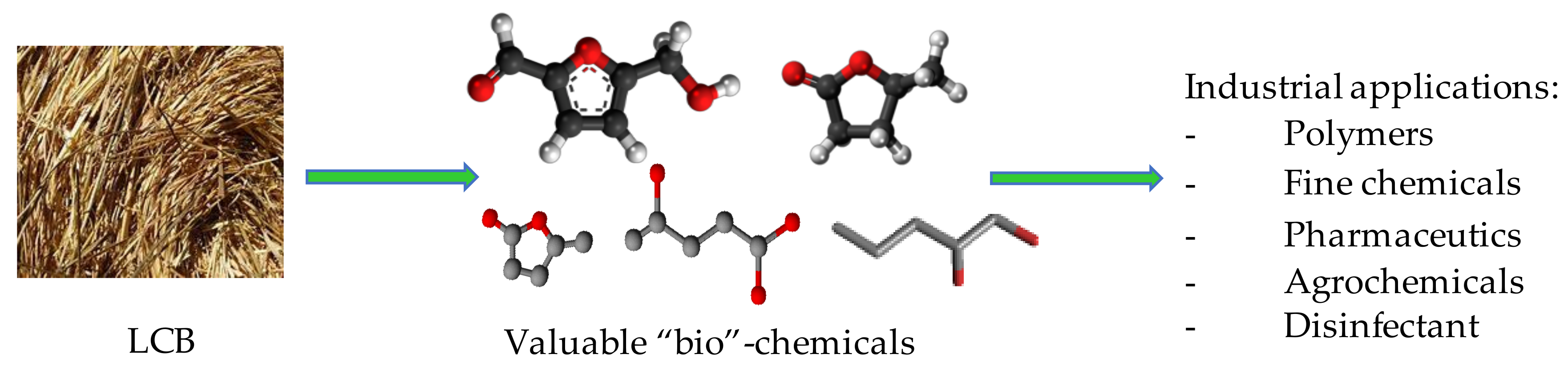 Lignocellulose Biomass as a Multifunctional Tool for Sustainable ...