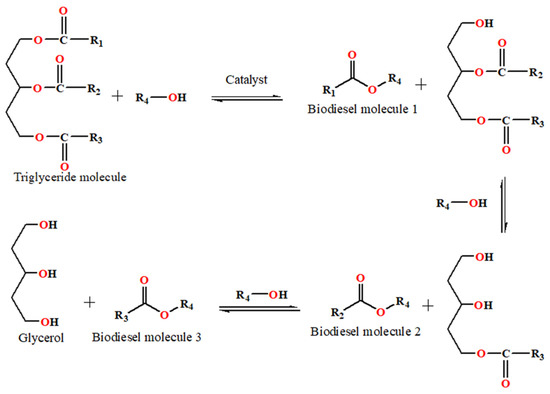 Nanobiocatalysts for Biodiesel Synthesis through Transesterification—A ...