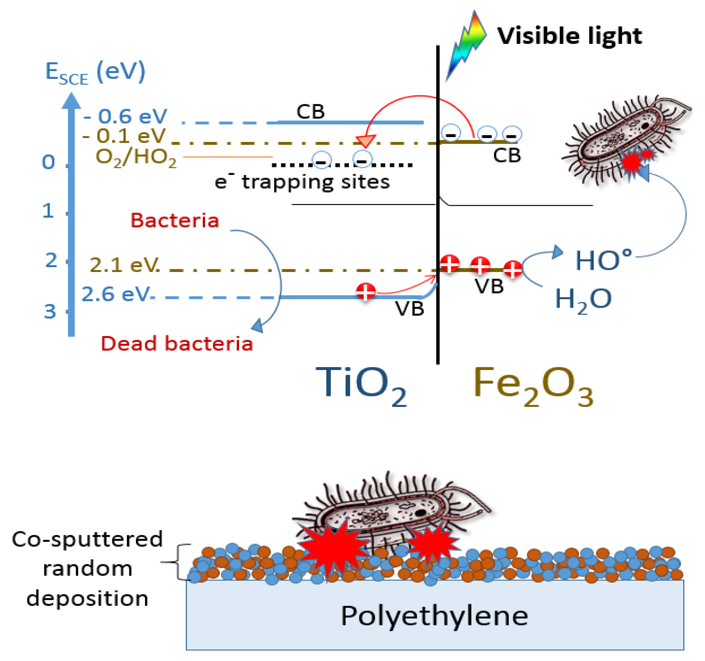 Update on Interfacial Charge Transfer (IFTC) Processes on Films ...