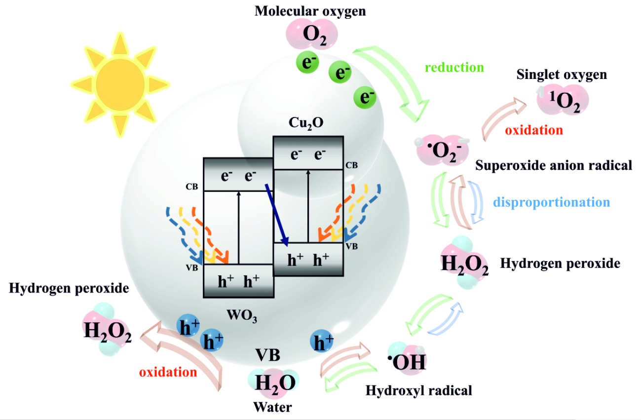 Catalysts | Free Full-Text | Solid-State Synthesis of Direct Z-Scheme ...