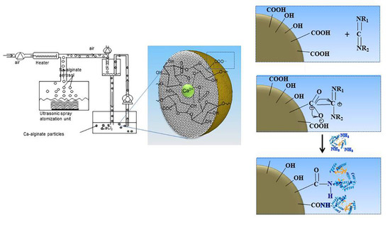 Catalysts | Special Issue : Biocatalysts and Biocatalysis in Food Industry
