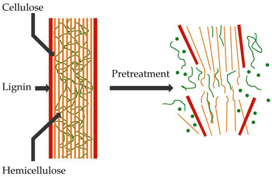 Advances in Valorization of Lignocellulosic Biomass towards Energy ...