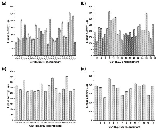 Codisplay of Rhizopus oryzae and Candida rugosa Lipases for Biodiesel ...