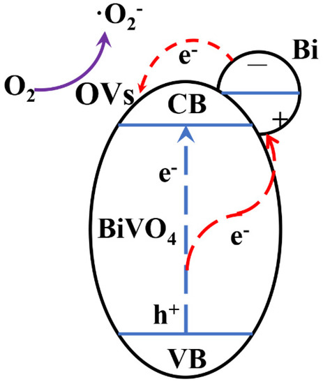 Catalysts | Free Full-Text | Insights into the Mechanism of the Bi ...