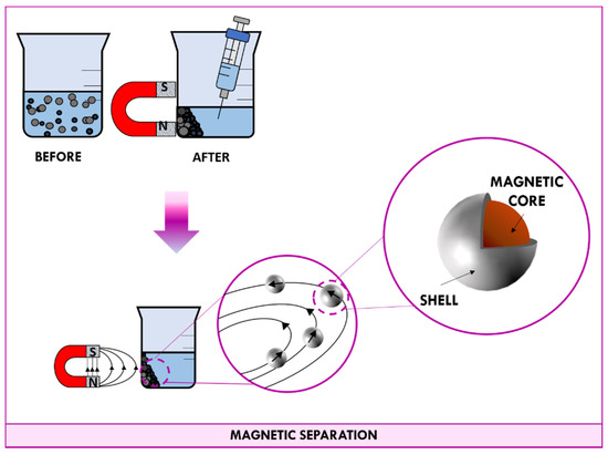 Recovery/Reuse of Heterogeneous Supported Spent Catalysts