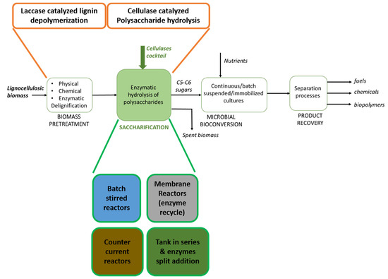 Catalysts | Free Full-Text | Bioreactor and Bioprocess Design Issues in Enzymatic Hydrolysis of ...