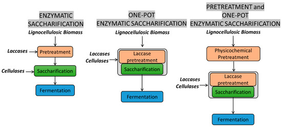 Bioreactor and Bioprocess Design Issues in Enzymatic Hydrolysis of Lignocellulosic Biomass