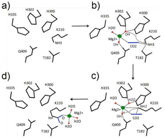 Catalysts | Special Issue : Advanced Acid–Base Catalysis: Spreading ... Catalysts | Special Issue : Advanced Acid–Base Catalysis: Spreading ...