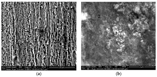 Catalysts | Special Issue : Towards Catalysts Prepared by Cold Plasma