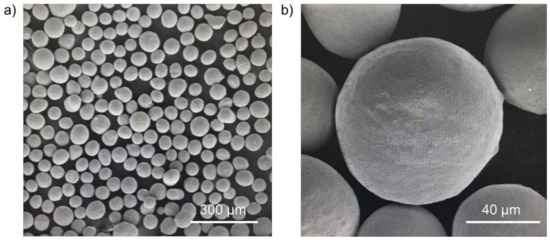 Development of an Iron-Based Fischer—Tropsch Catalyst with High ...