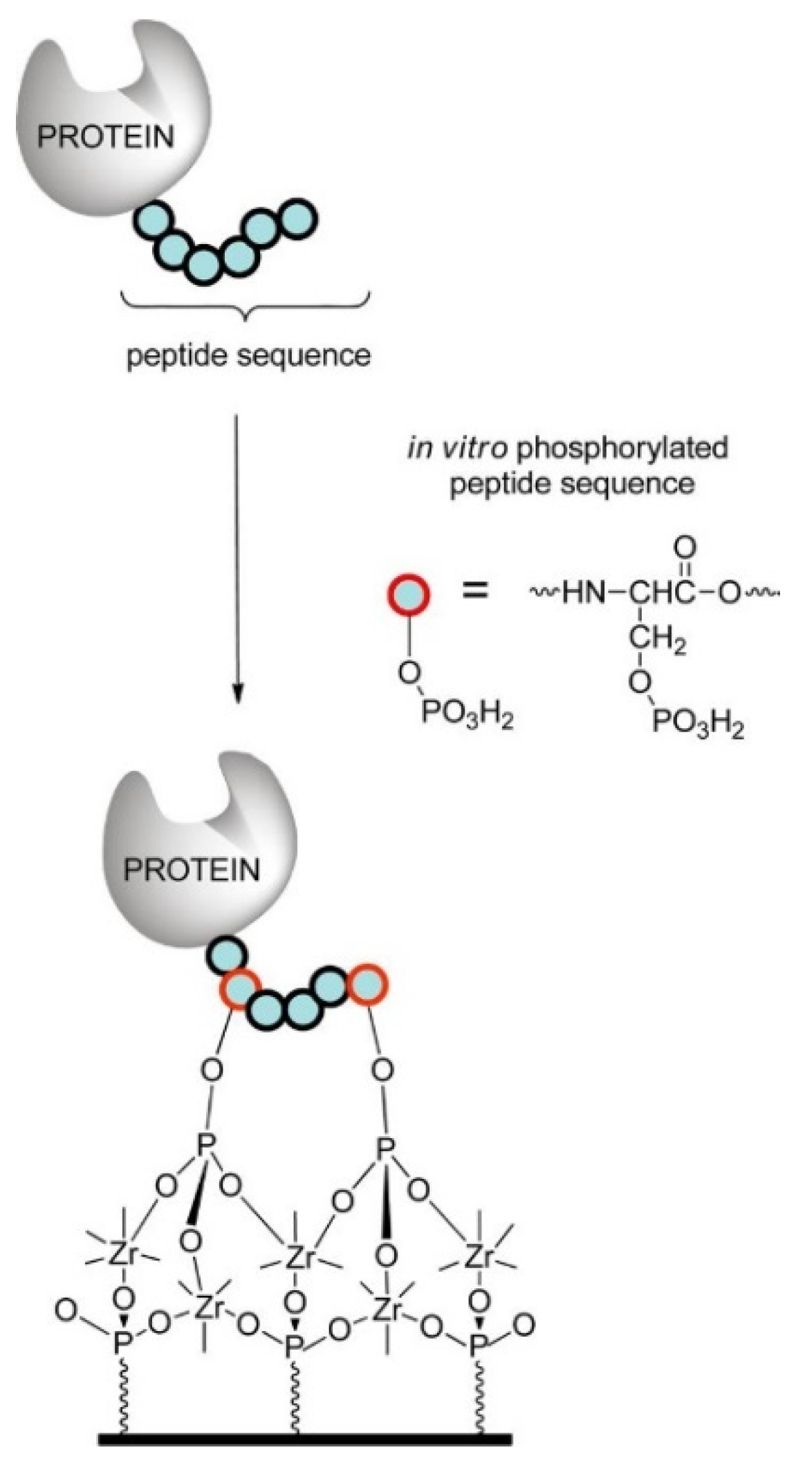 Catalysts Free Full Text Contemporary Enzyme Based Methods For