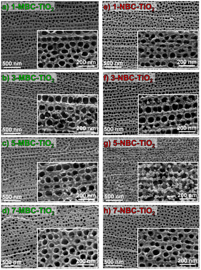 Biochar Nanoparticles over TiO2 Nanotube Arrays: A Green Co-Catalyst to ...