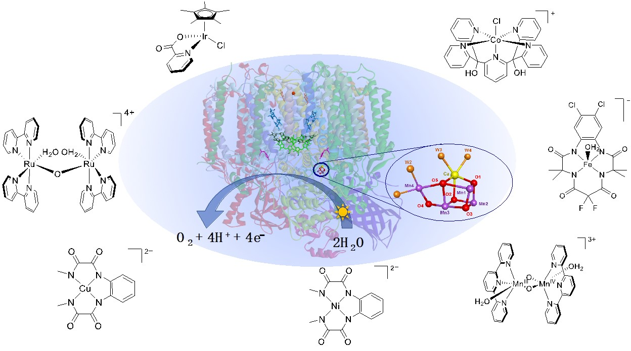 Catalysts | Free Full-Text | Bio-Inspired Molecular Catalysts for Water ...