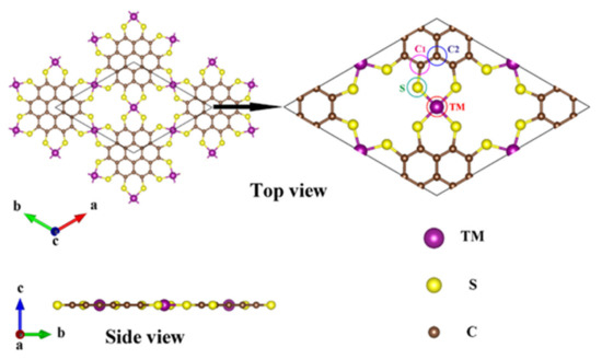 Multifunctional Electrocatalysis on Single-Site Metal Catalysts: A ...