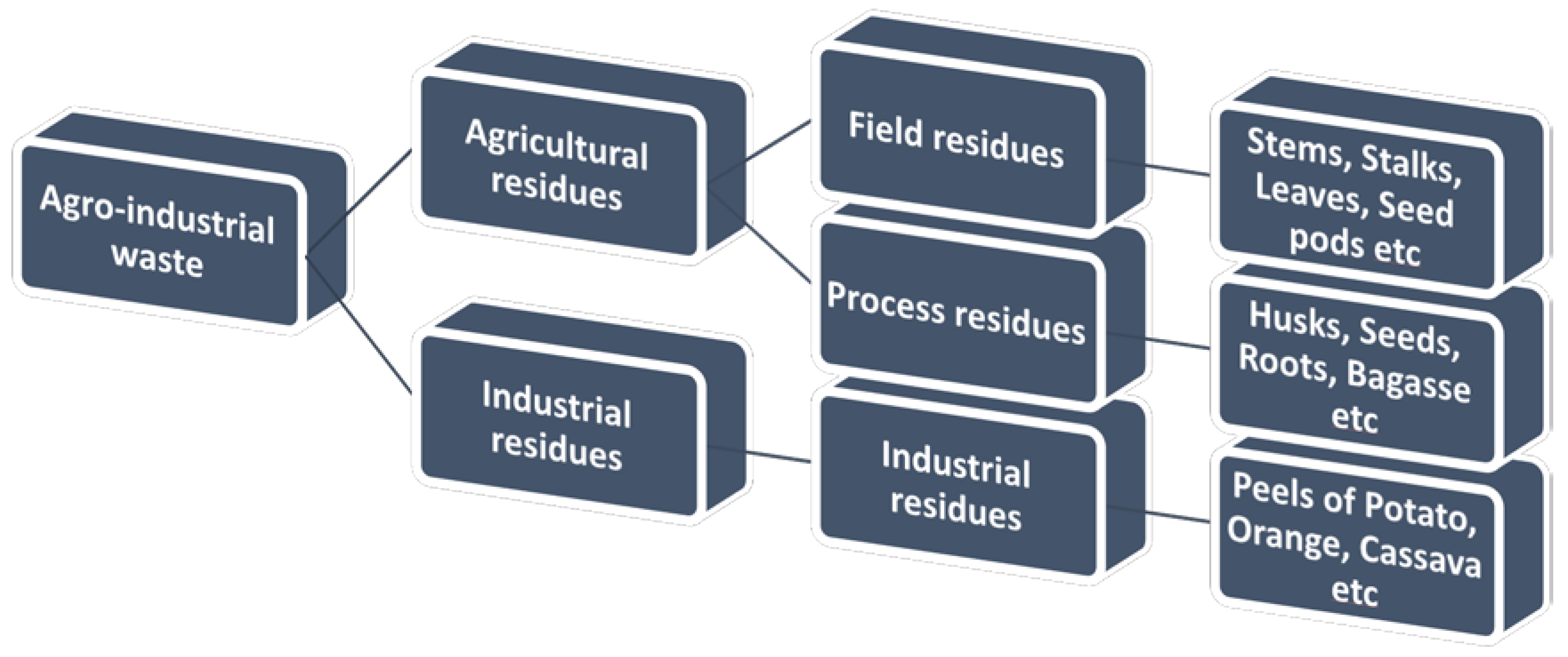 Application of Agricultural Waste as Heterogeneous Catalysts for ...