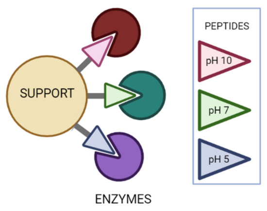Catalysts | Free Full-Text | Current Status and Future Perspectives of ...