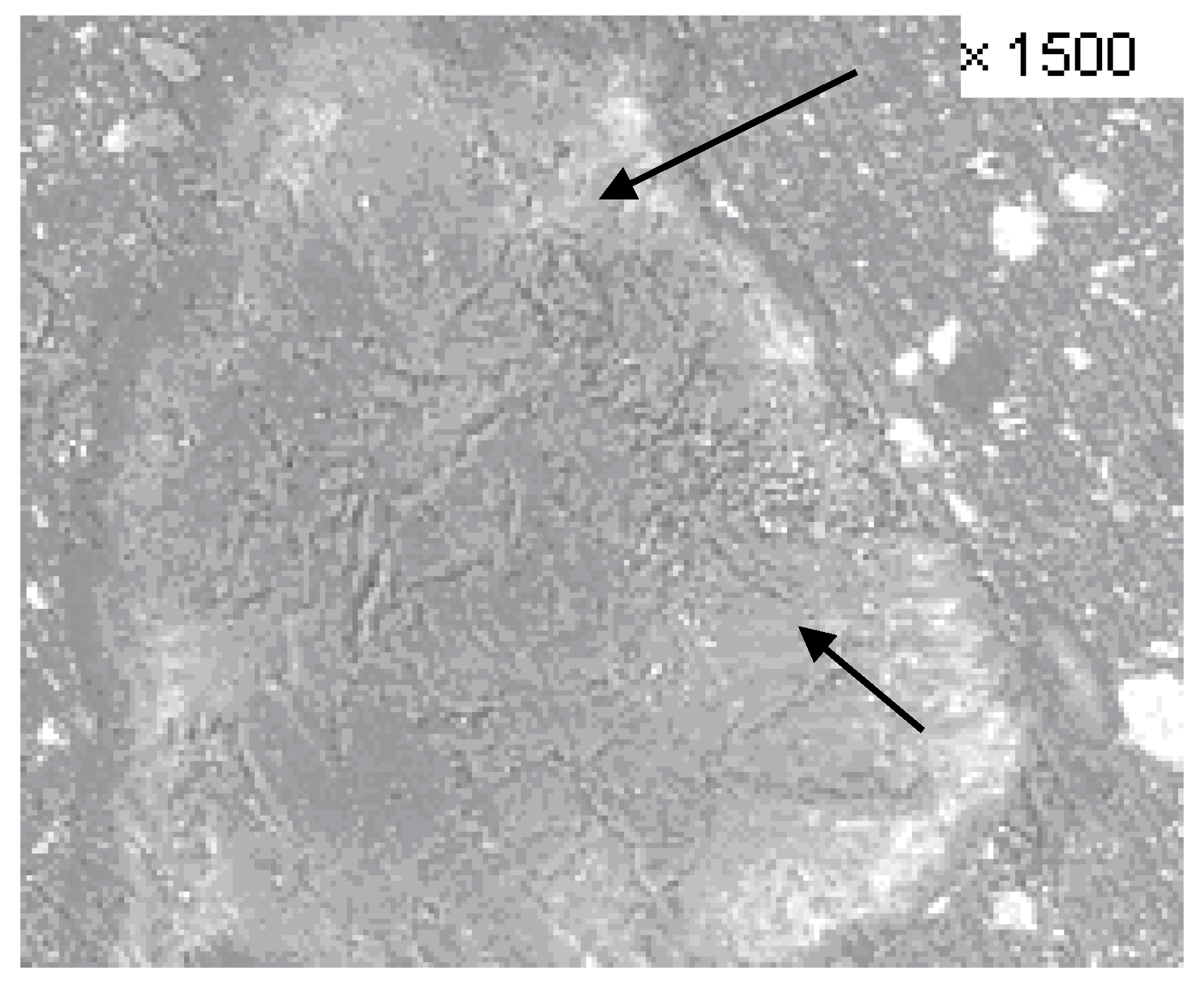 Catalysts | Free Full-Text | Efficiency of Microencapsulation of ...