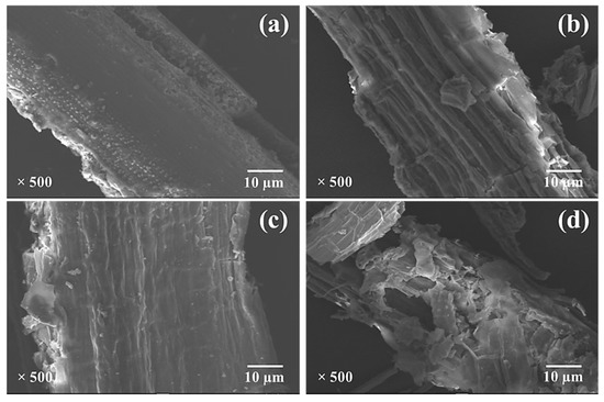 Enhancement of Biological Pretreatment on Rice Straw by an Ionic Liquid ...