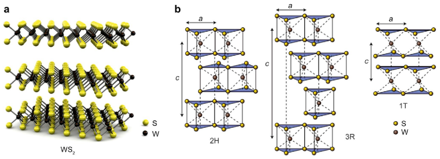 Recent Advances in WS2 and Its Based Heterostructures for Water ...