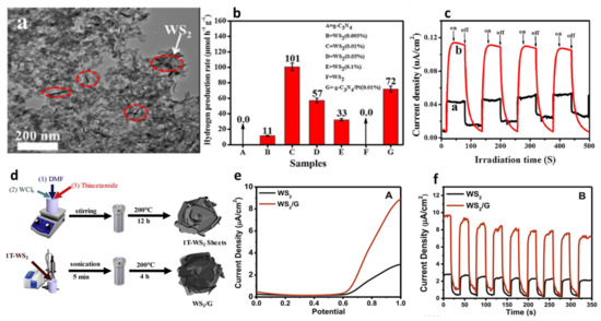 Recent Advances in WS2 and Its Based Heterostructures for Water ...