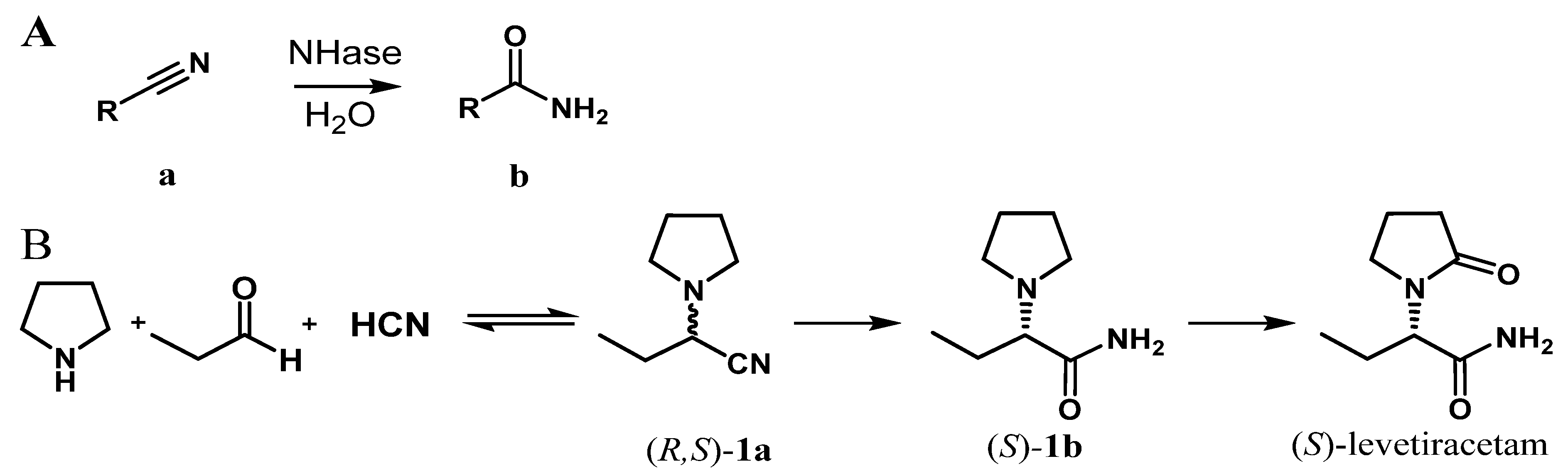 Gordonia hydrophobica Nitrile Hydratase for Amide Preparation from Nitriles