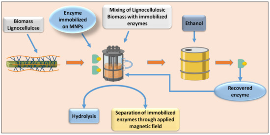 Current Trends and Future Prospects of Nanotechnology in Biofuel Production