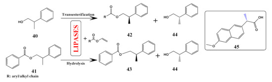 Diversifying Arena of Drug Synthesis: In the Realm of Lipase Mediated ...