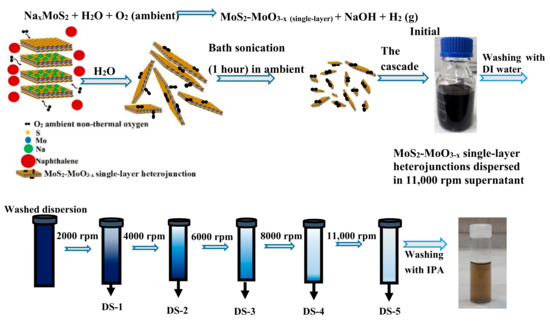 Catalysts | Free Full-Text | Single-Layer MoS2-MoO3-x Heterojunction ...