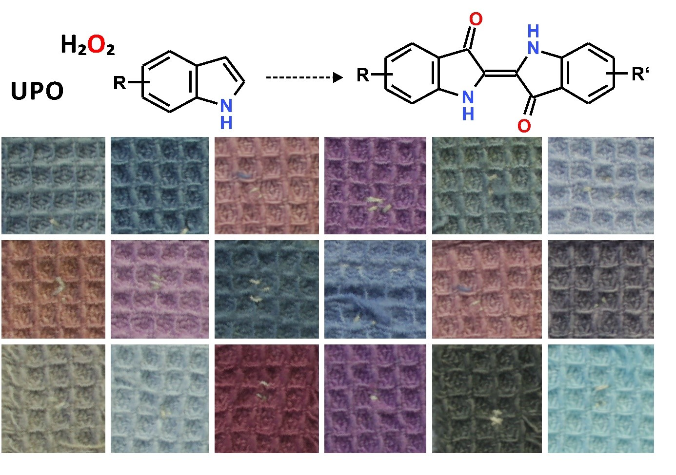 Catalysts | Free Full-Text | Synthesis of Indigo-Dyes from Indole ...