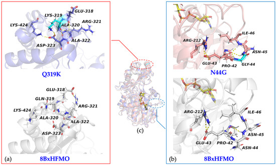 Engineered Stable 5-Hydroxymethylfurfural Oxidase (HMFO) from 8BxHMFO ...