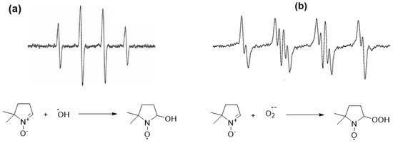 Application of EPR Spectroscopy in TiO2 and Nb2O5 Photocatalysis