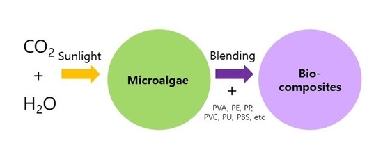 Catalysts | Free Full-Text | Biocomposites Using Whole or Valuable ...