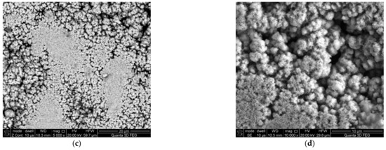 A Promising Cobalt Catalyst for Hydrogen Production