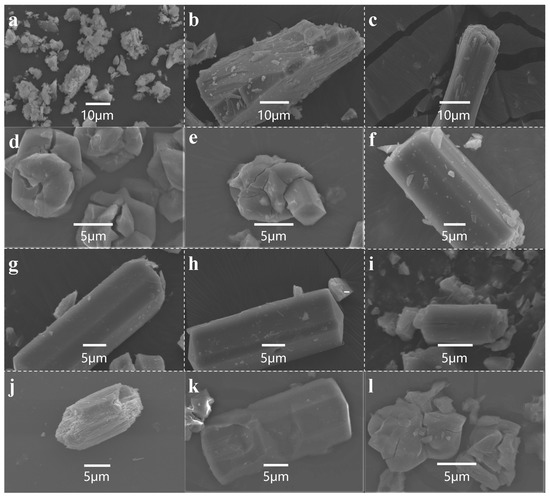 Insight into Crystallization Features of MOR Zeolite Synthesized via ...