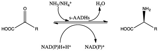 Substrate-Specific Engineering of Amino Acid Dehydrogenase Superfamily ...