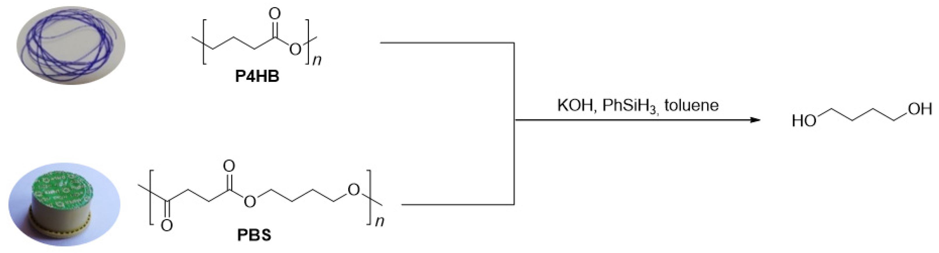 Depolymerization of P4HB and PBS Waste and Synthesis of the Anticancer ...