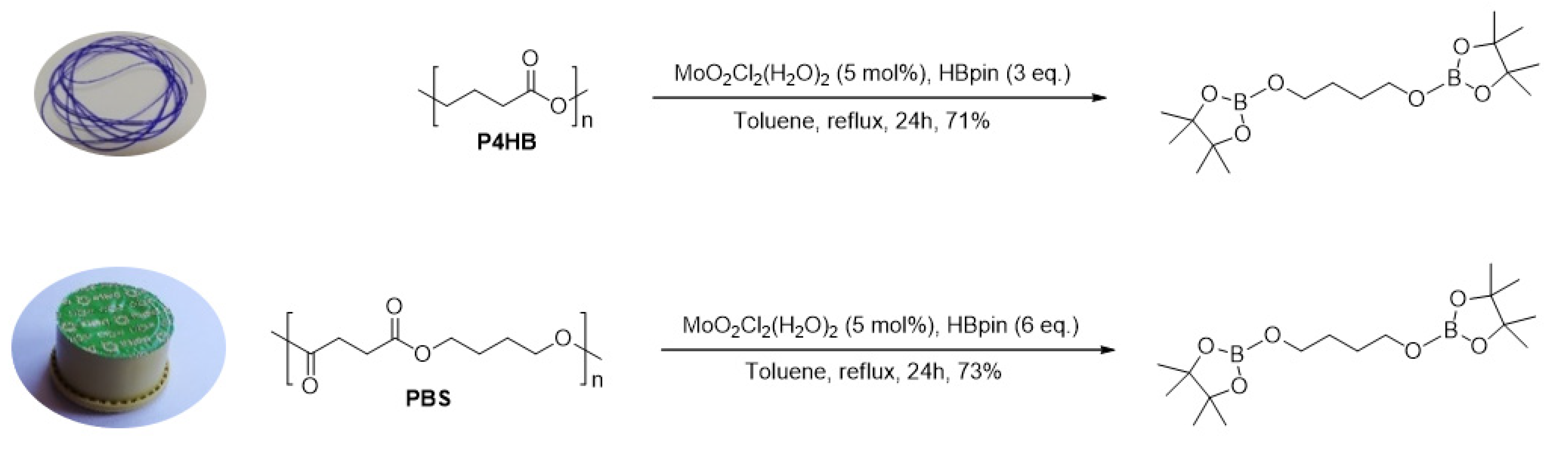 Depolymerization of P4HB and PBS Waste and Synthesis of the Anticancer ...
