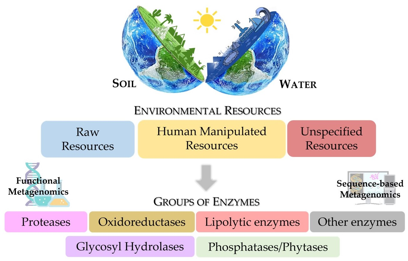Catalysts | Free Full-Text | Metagenomic Approaches as a Tool to ...