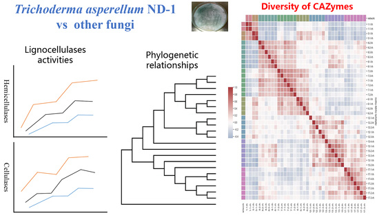 Catalysts | Free Full-Text | Whole-Genome Sequence and Comparative Analysis of Trichoderma ...