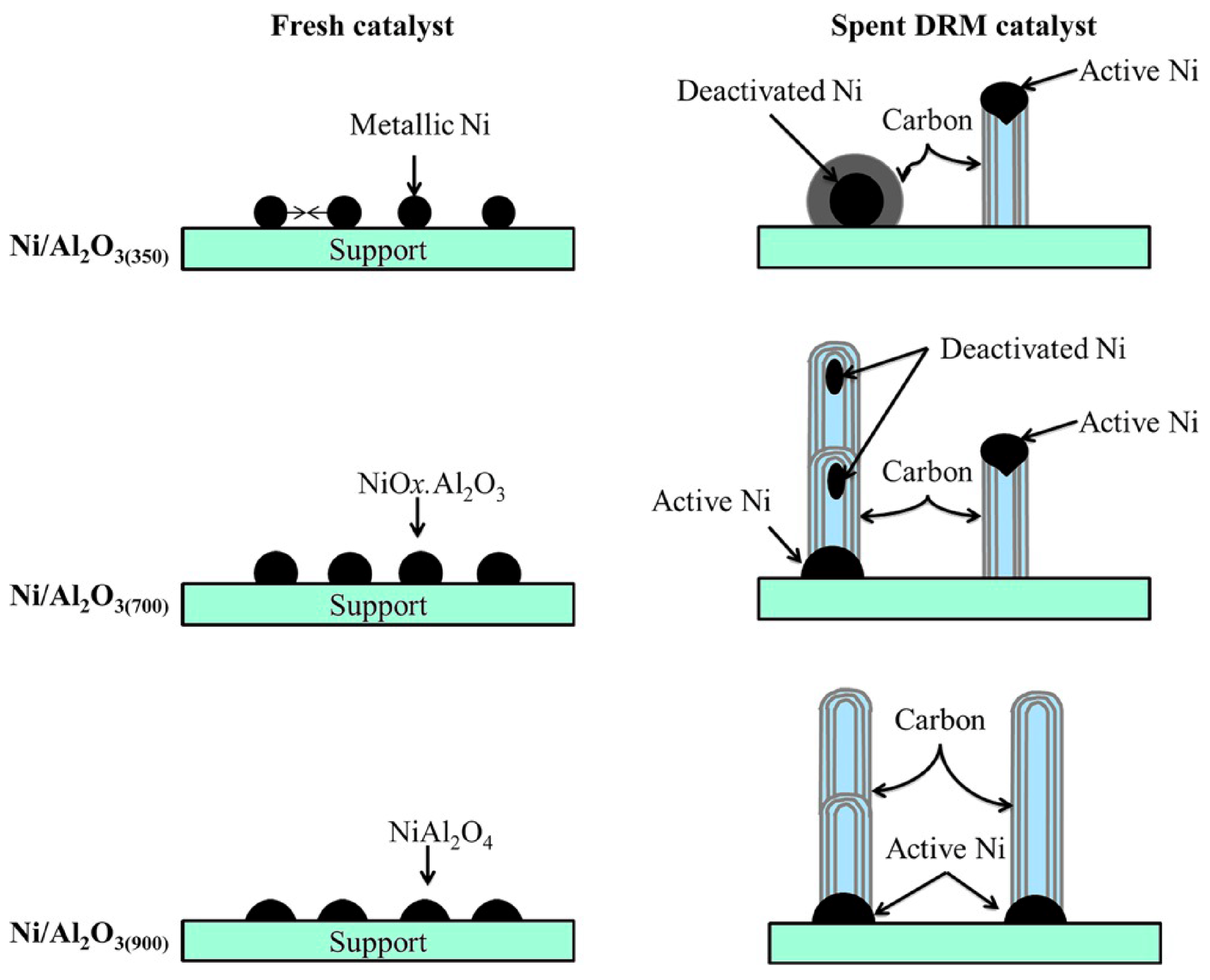 Quo Vadis Dry Reforming of Methane?—A Review on Its Chemical ...