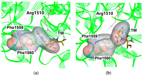 Exploration of the Interactions between Maltase–Glucoamylase and Its ...