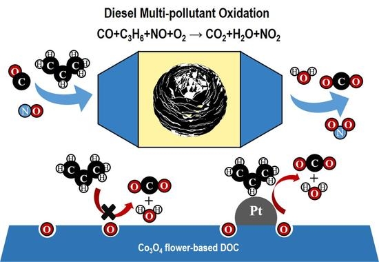 Catalysts | Free Full-Text | Flower-like Co3O4 Catalysts for Efficient ...