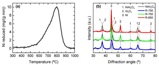 Catalysts | Free Full-Text | Stability of a NiAl2O4 Derived Catalyst in ...