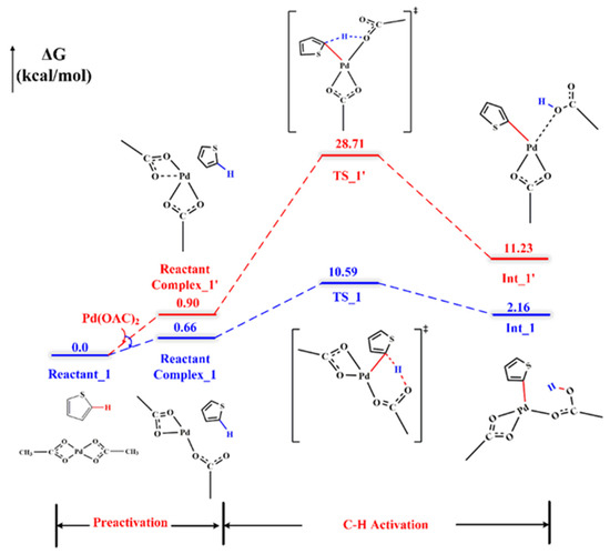 Mechanistic Insights into Palladium(II)-Catalyzed Carboxylation of Thiophene and Carbon Dioxide